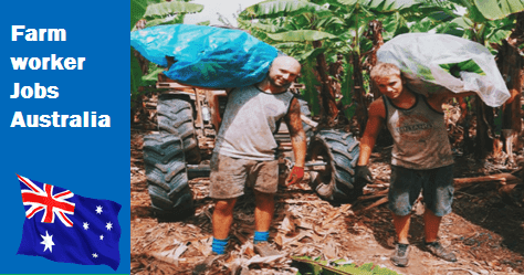 Australia Farm workers Vacancies - worldswin - jobs apply and travel ...