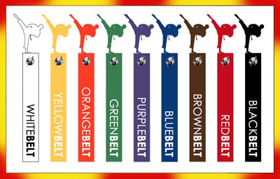 Can I Get A Black Belt In Jeet Kune Do? - Best Martial Art