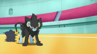 Pokémon Era Black: Attack Dex - Luxray