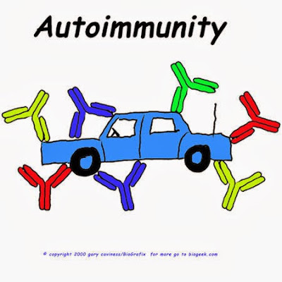 Medical Laboratory and Biomedical Science: Autoimmunity
