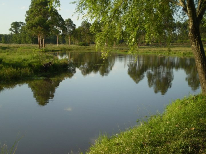 Ciencias: ¡¡¡¡¡¡¡¡¡¡¡Bienvenidos al mundo natural!!!!!!!!