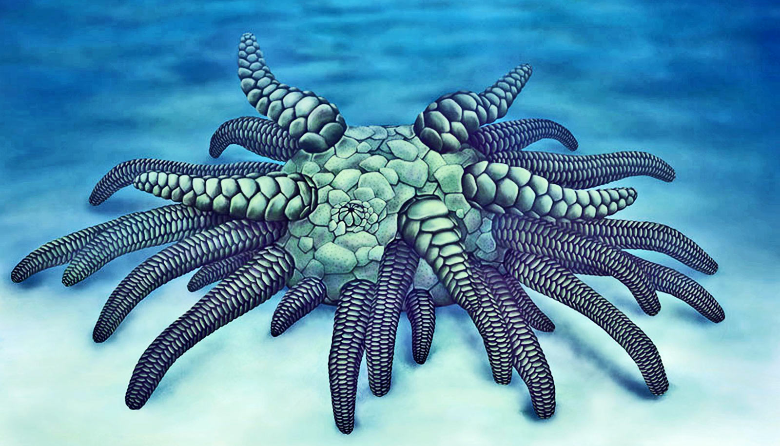 CTHULHU-LIKE CREATURE CRAWLED THE DEPTHS OF ANCIENT OCEANS