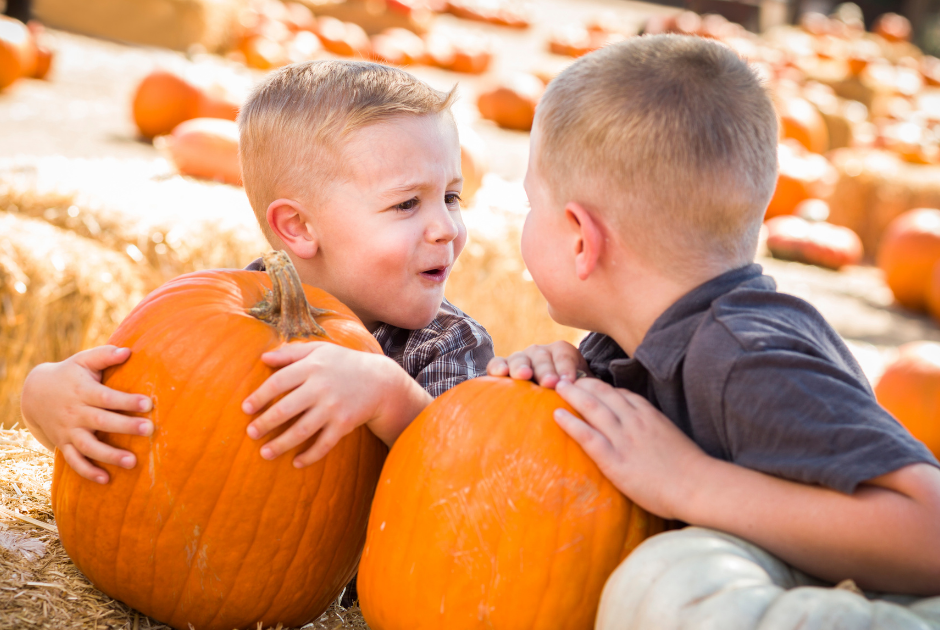 Fun Things To Do In Delaware County This Weekend For Families And Kids ...