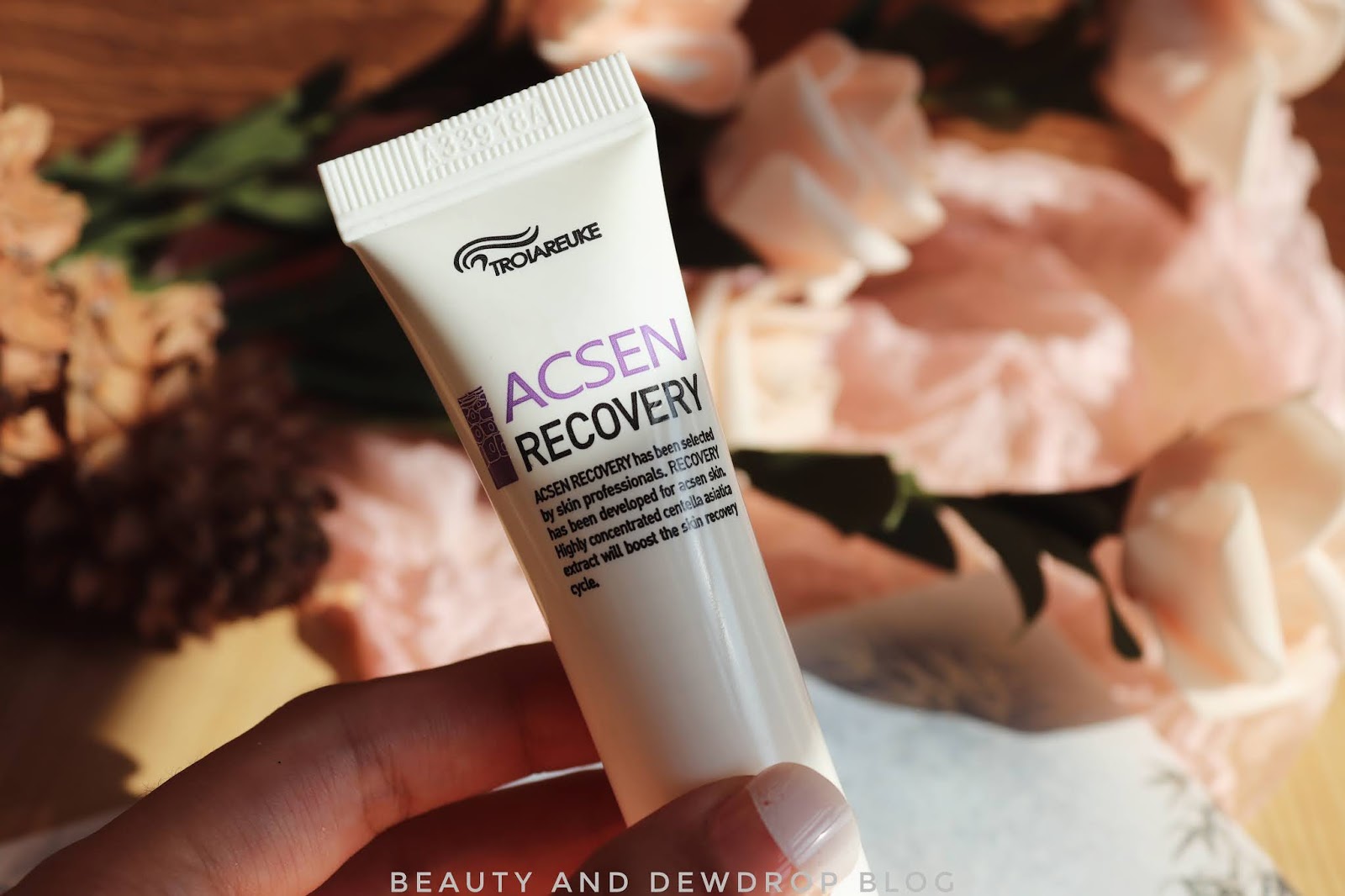 [Review] Troiareuke Aesthetic Starter Kit | Beauty & Dewdrop Blog