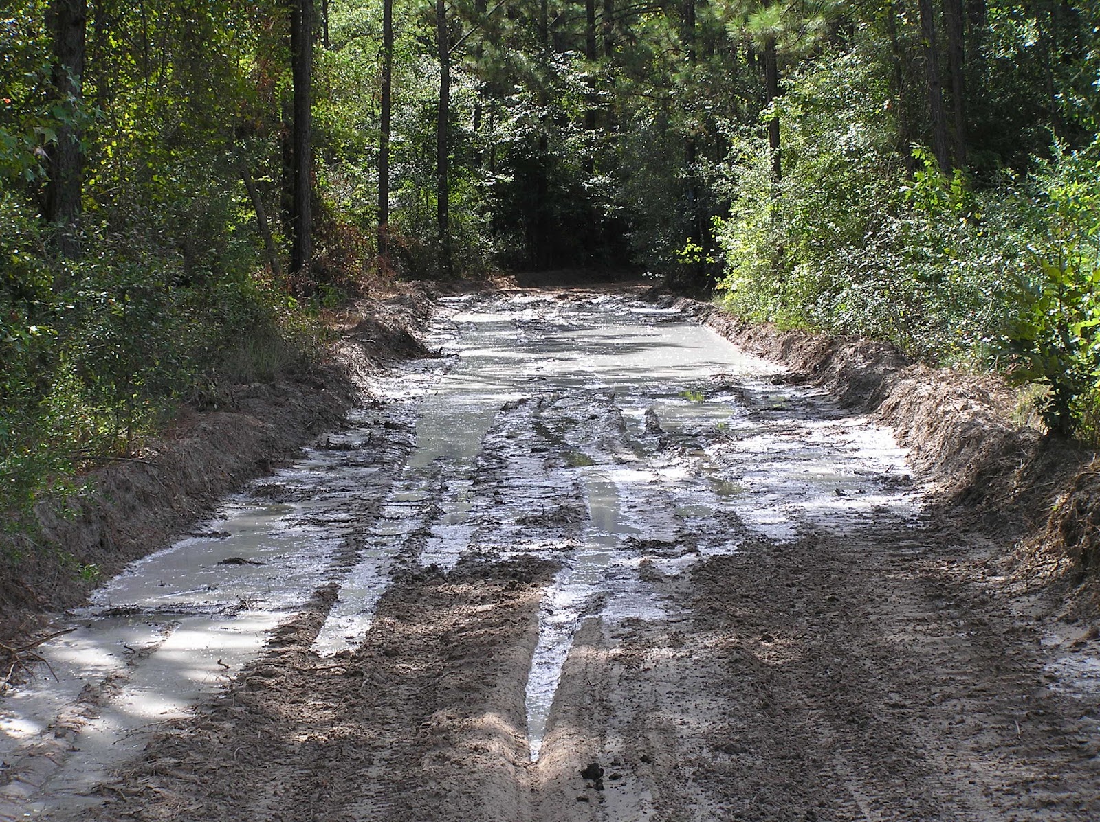 Texas A&M Forest Service: Water Resources: May 2001