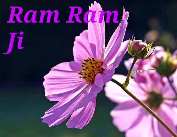 Top 10 Ram Ram ji Images greating Pictures,Photos for Whatsapp - Good ...
