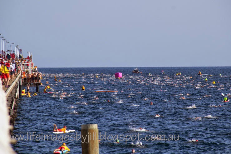 Life Images by Jill: Busselton Jetty swim 2015