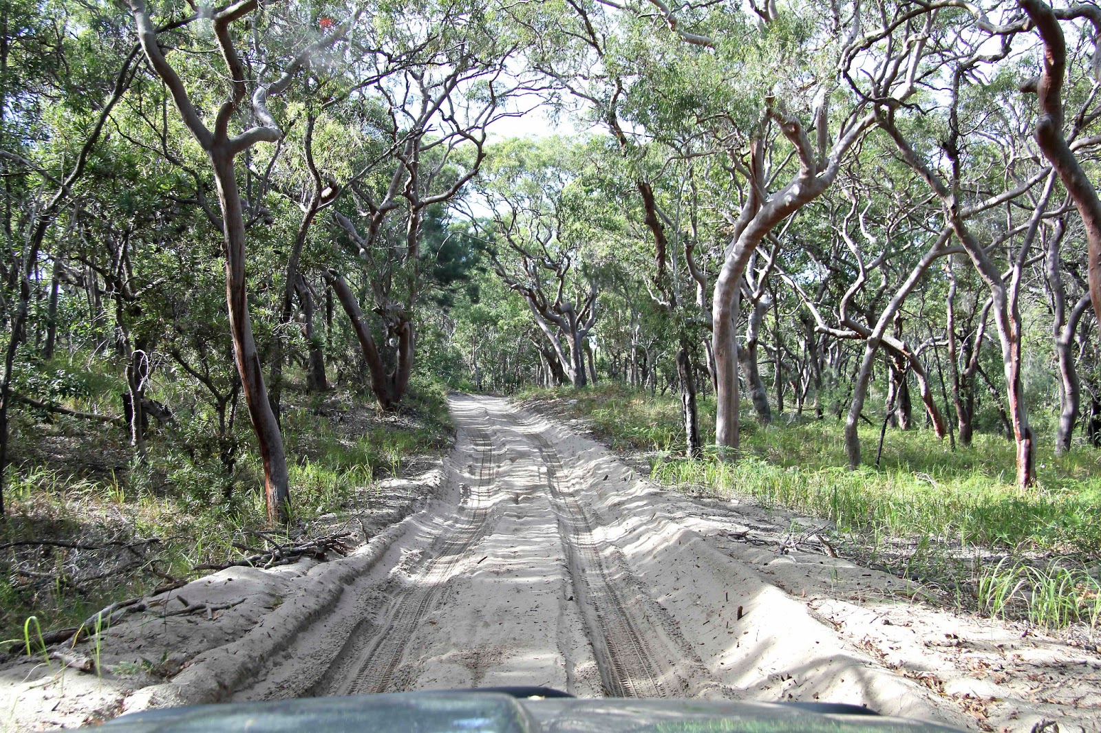 Avithera: Rainbow Beach - Great Sandy National Park - Fraser Island ...