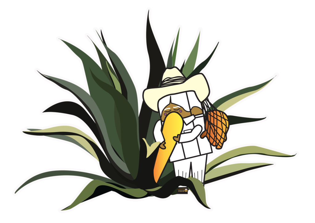 ALTIPLANICIE PULQUERA: Historia