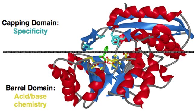 World of Biochemistry (blog about biochemistry): Glycolysis (enzymes of ...