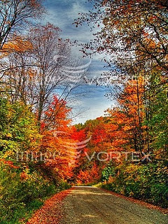 Free wallpapers: royalty free nature photos