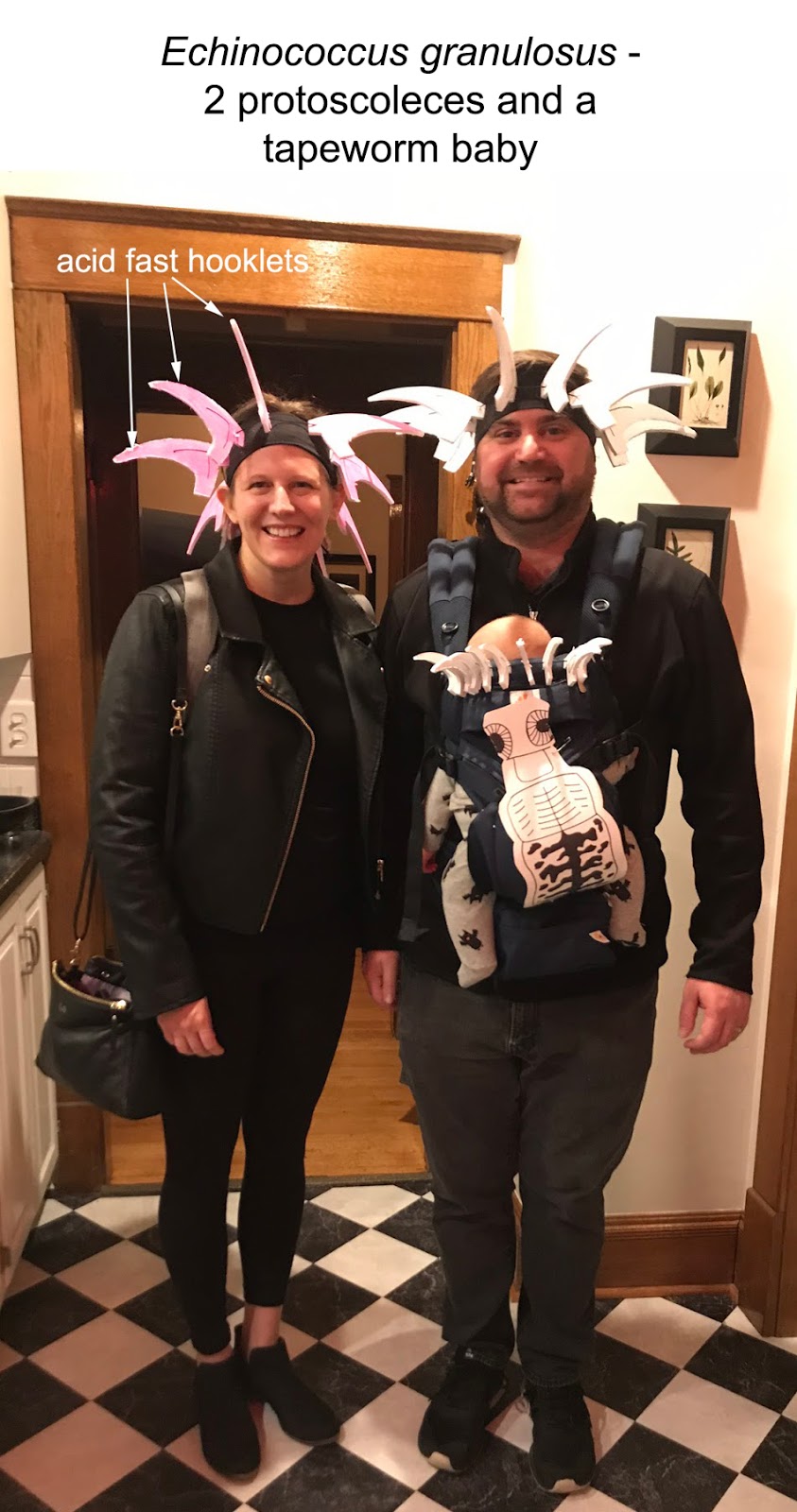 Creepy Dreadful Wonderful Parasites: Answer to Case 566