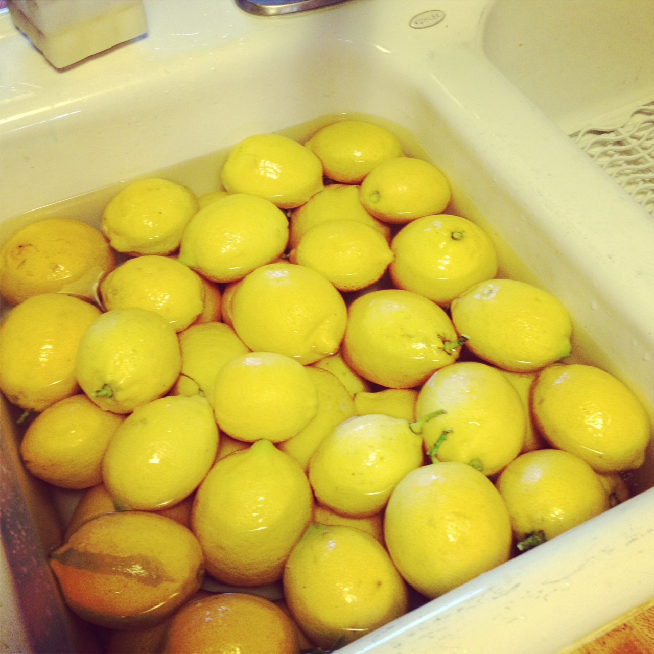 Meg Henning: How to Use Up Lots and Lots of Lemons...