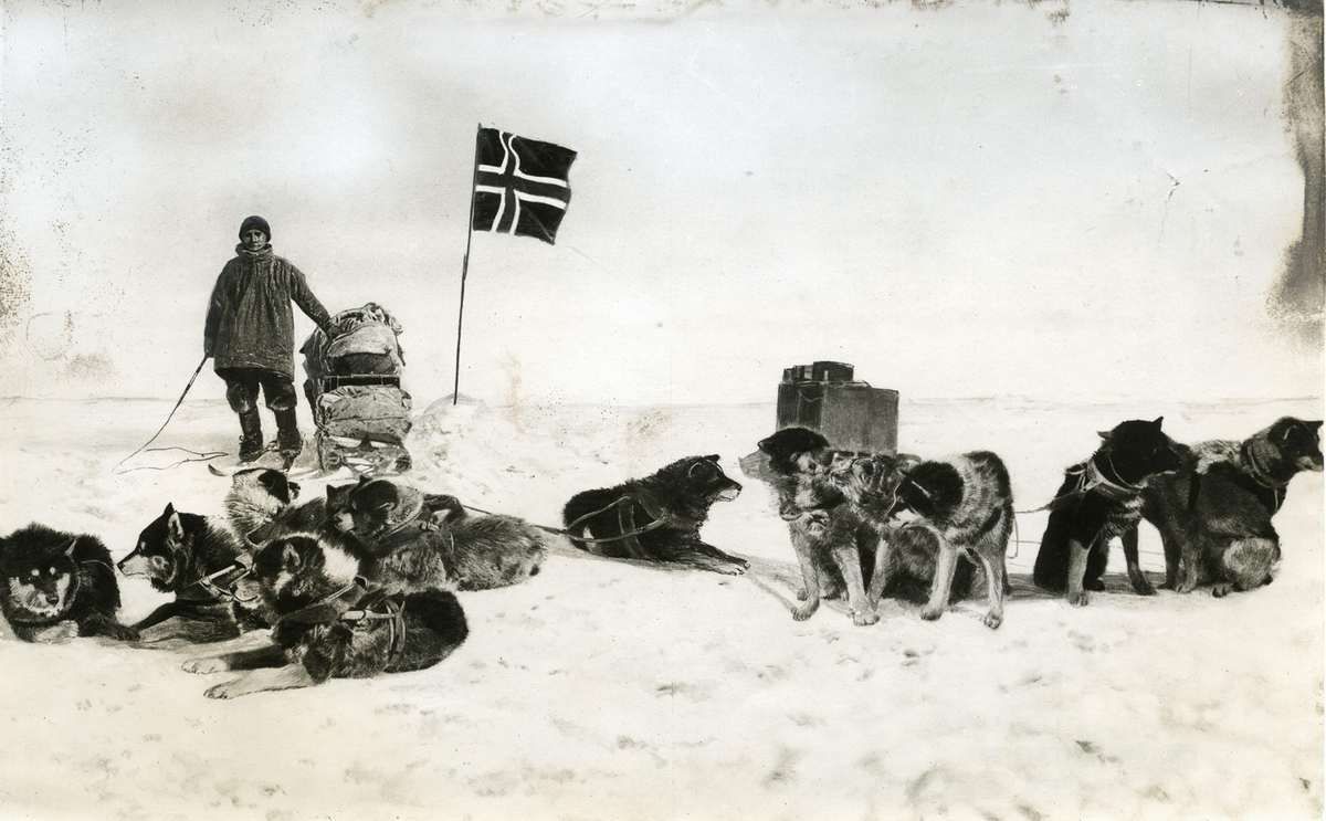 THE GRANDMA'S LOGBOOK ---: ROALD E. AMUNDSEN: EXPEDITION TO THE BOTH POLES