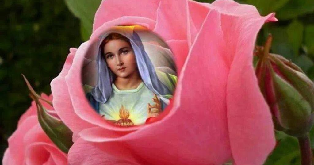 JEZUS en MARIA Groep.: EEN ZIEL UIT GODS HAND