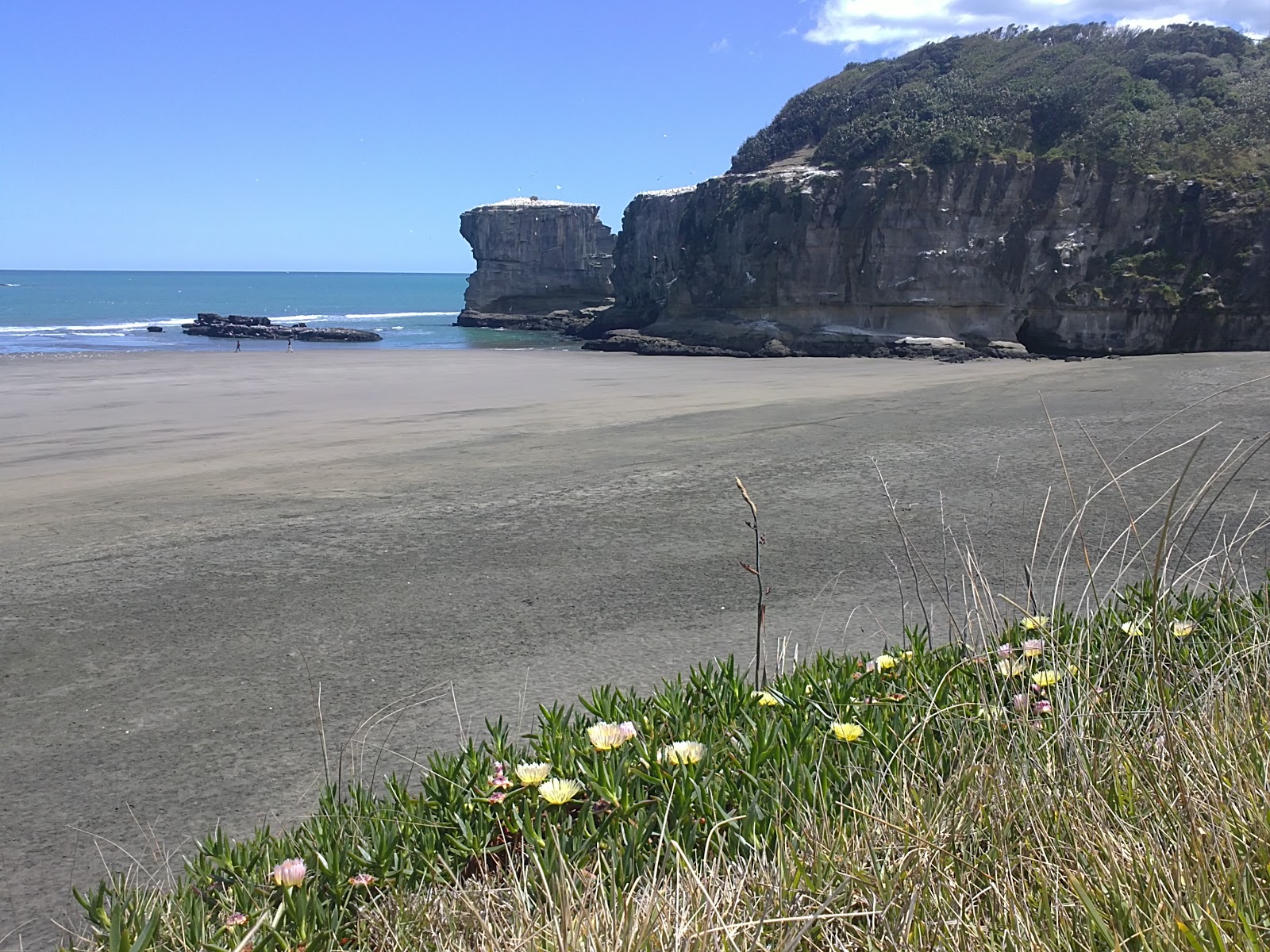 Alexa Bartlett - Auckland Marriage and Civil Union Celebrant ...