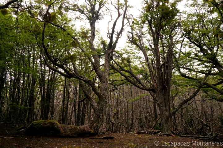 Parque Nacional Tierra del Fuego, Ushuaia