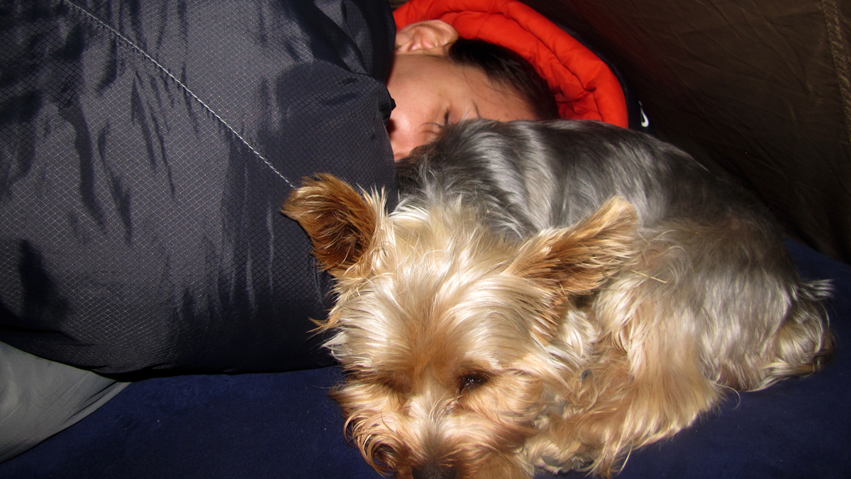 La mulți ani Azorel! (2 ani) - Blogul Larisei