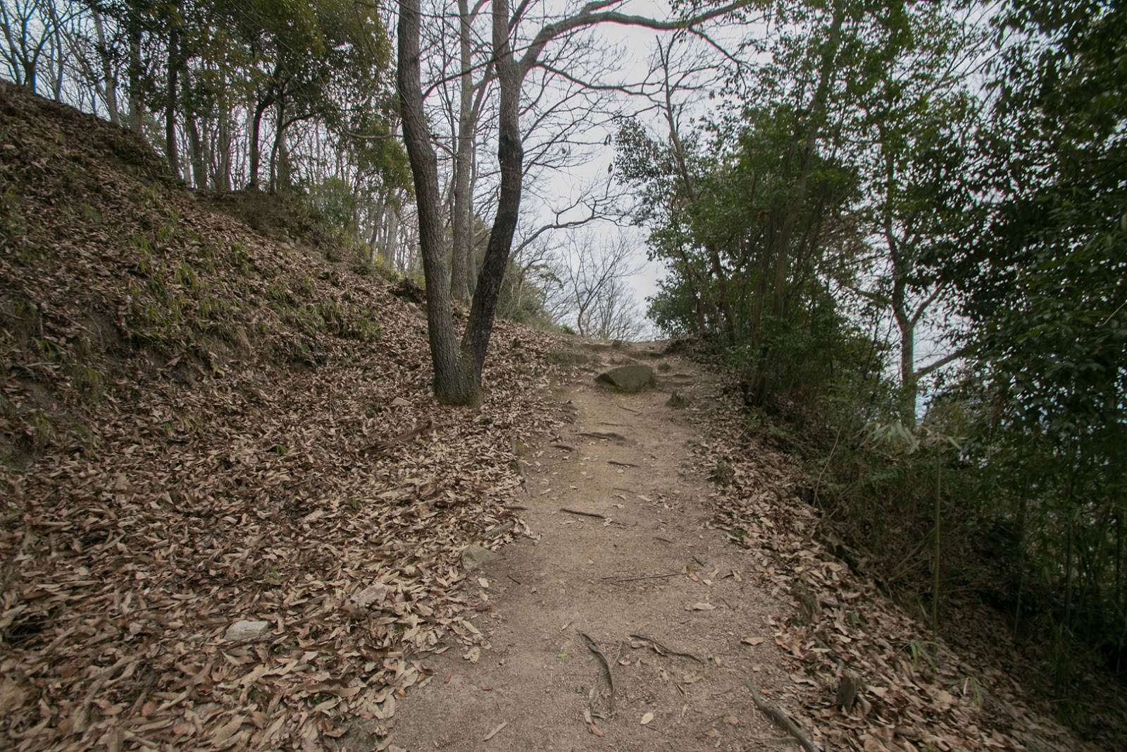 Niitakayama Castle -Intellectual pillar of Mouri clan (2)- | Japan ...