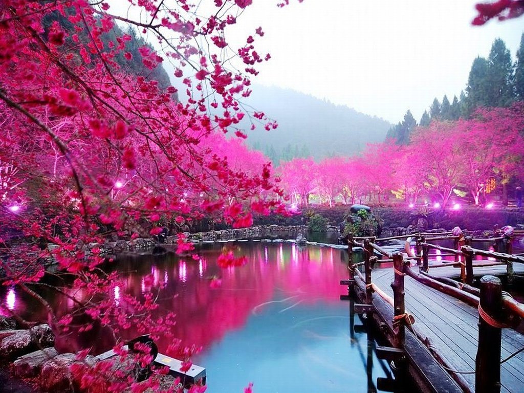 Beautiful Of Japan - Travel Pelopor Paket Tour Wisata Halal Dunia