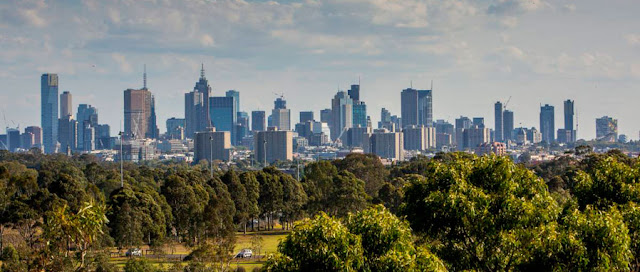 Melbourne’s urban forest in decline