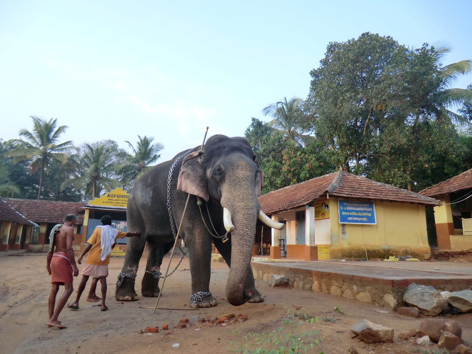 Thiruvambadi Sivasundar Wallpaper