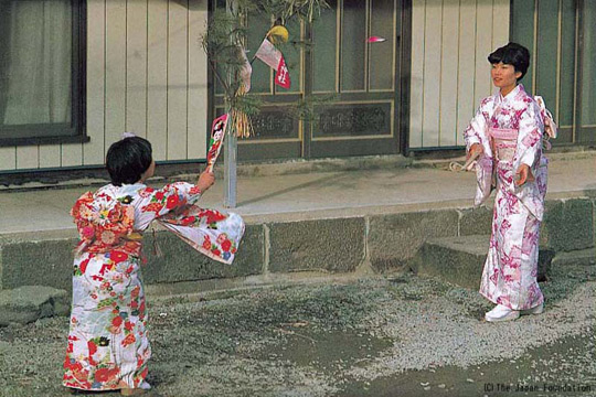 2017 New Year's Greeting from Yu Suzuki & Team | Cultural Notes