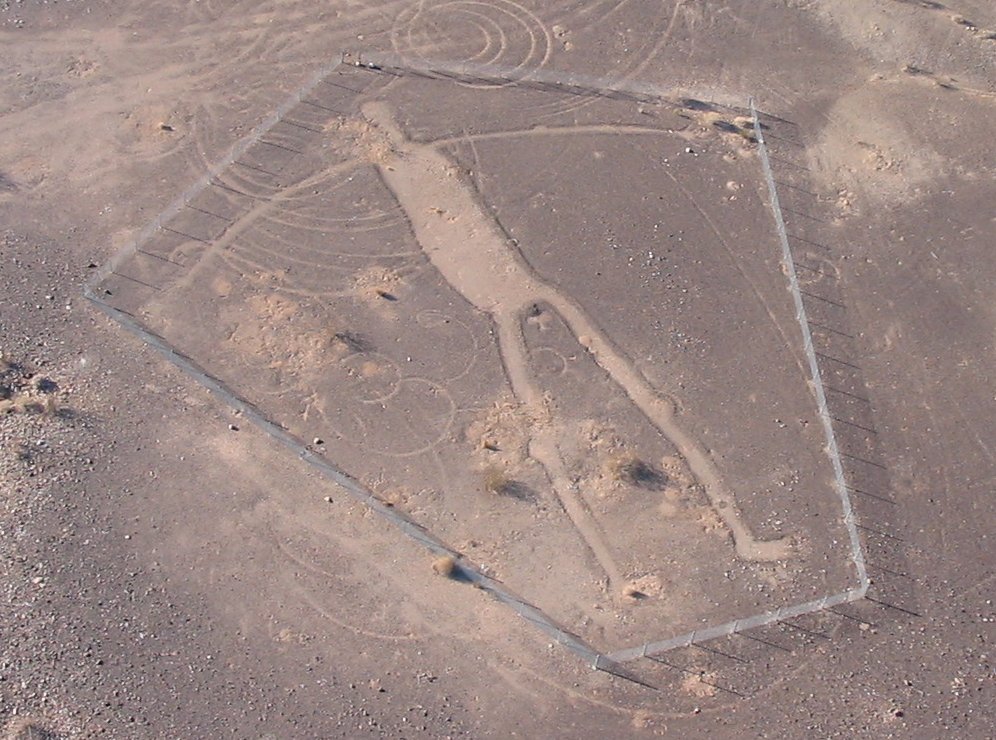 Prairie Rose Publications: Blythe Intaglios: Geoglyphs in the ...