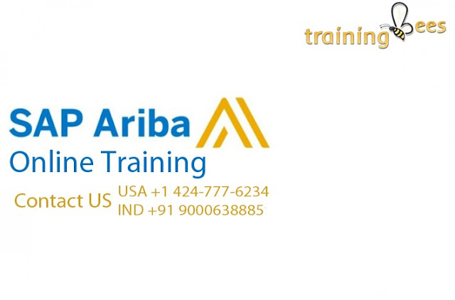 Sap Ariba Course Overview