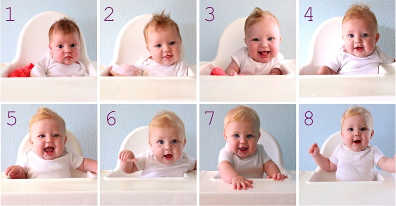 8 months old - MADE EVERYDAY