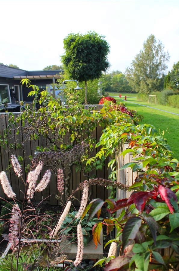 Godastunder & Tokiga Ideèr: Det brinner....