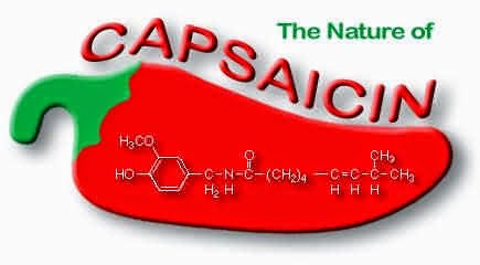 Hot Chile Peppers: Pure Capsaicin