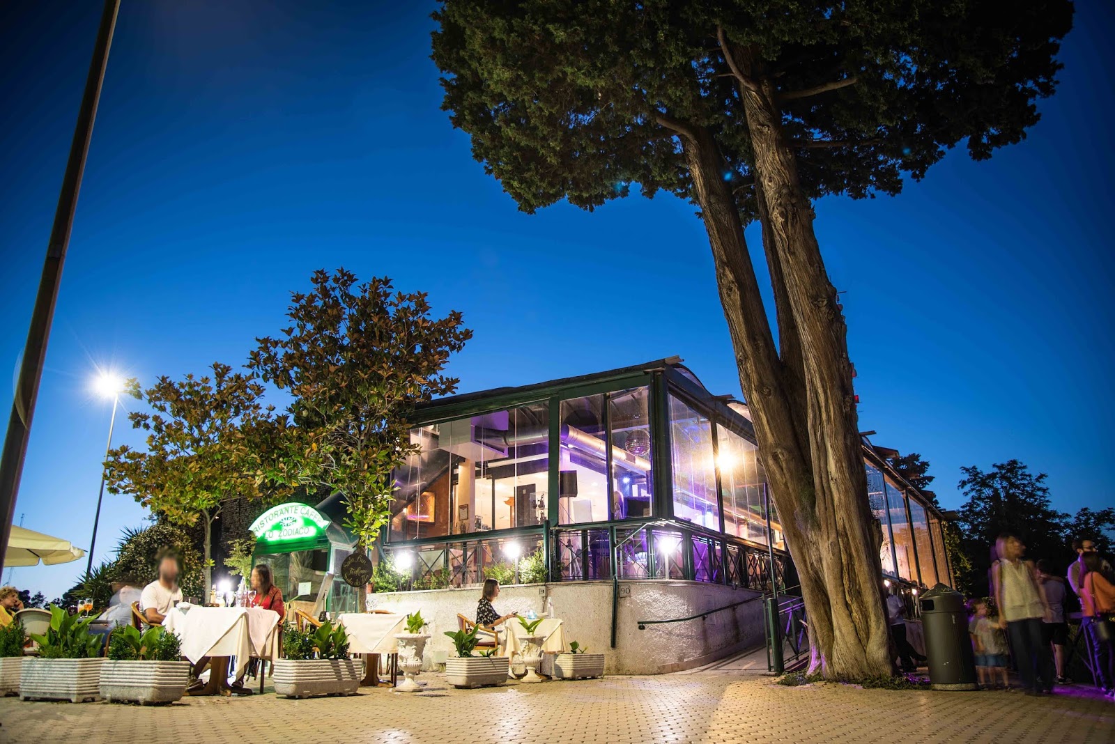 Stevenson: Holiday Dinner at Lo Zodiaco, Rome