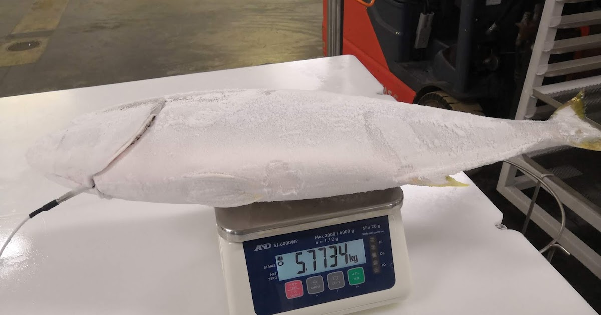 Liquid nitrogen freezer, cryogenic freezer manufacturer from China ...