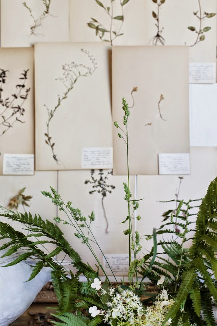 INSPIRED DESIGN: Friday Finds: Pressed Botanicals and an Easy DIY