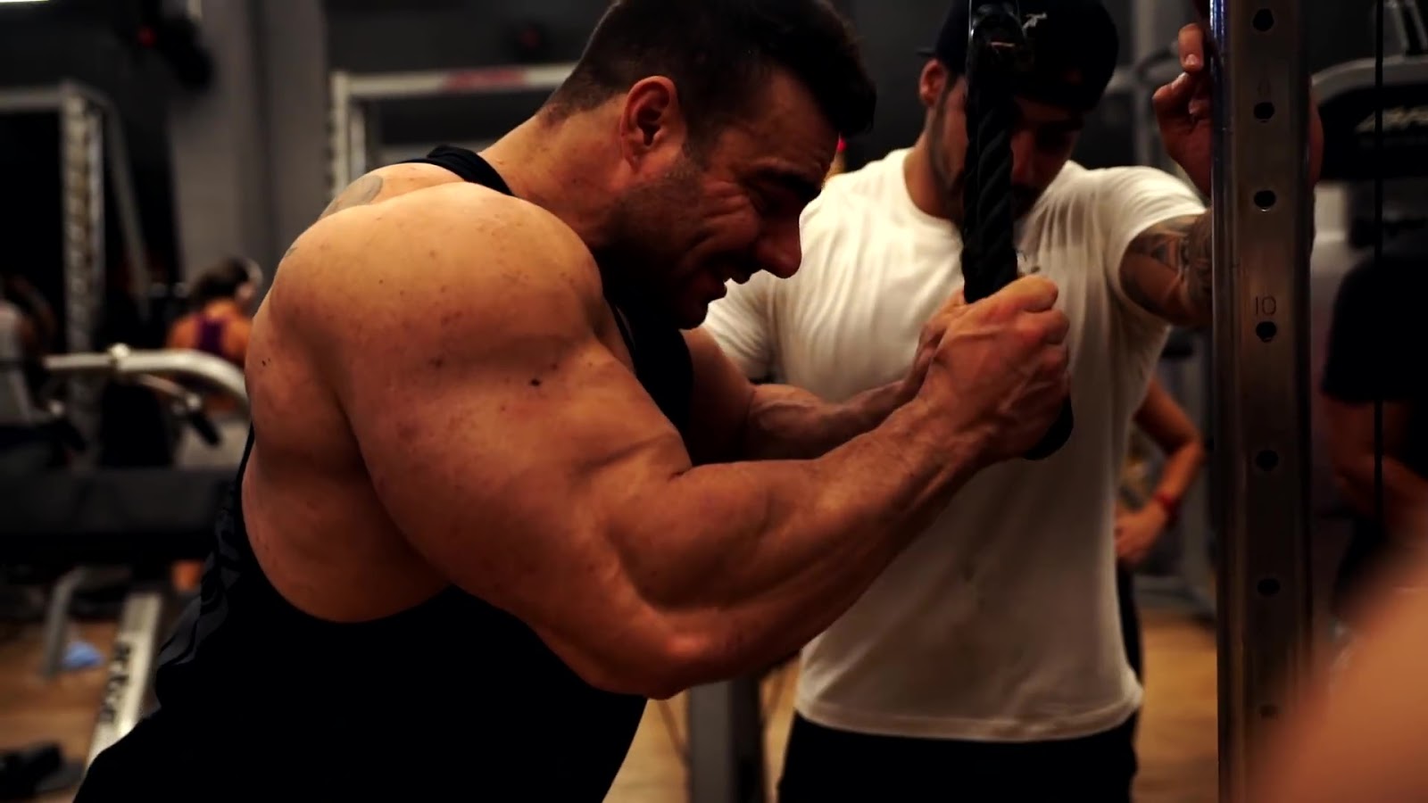 Muscle Lover: Brazilian bodybuilding super star - IFBB Pro Rafael ...