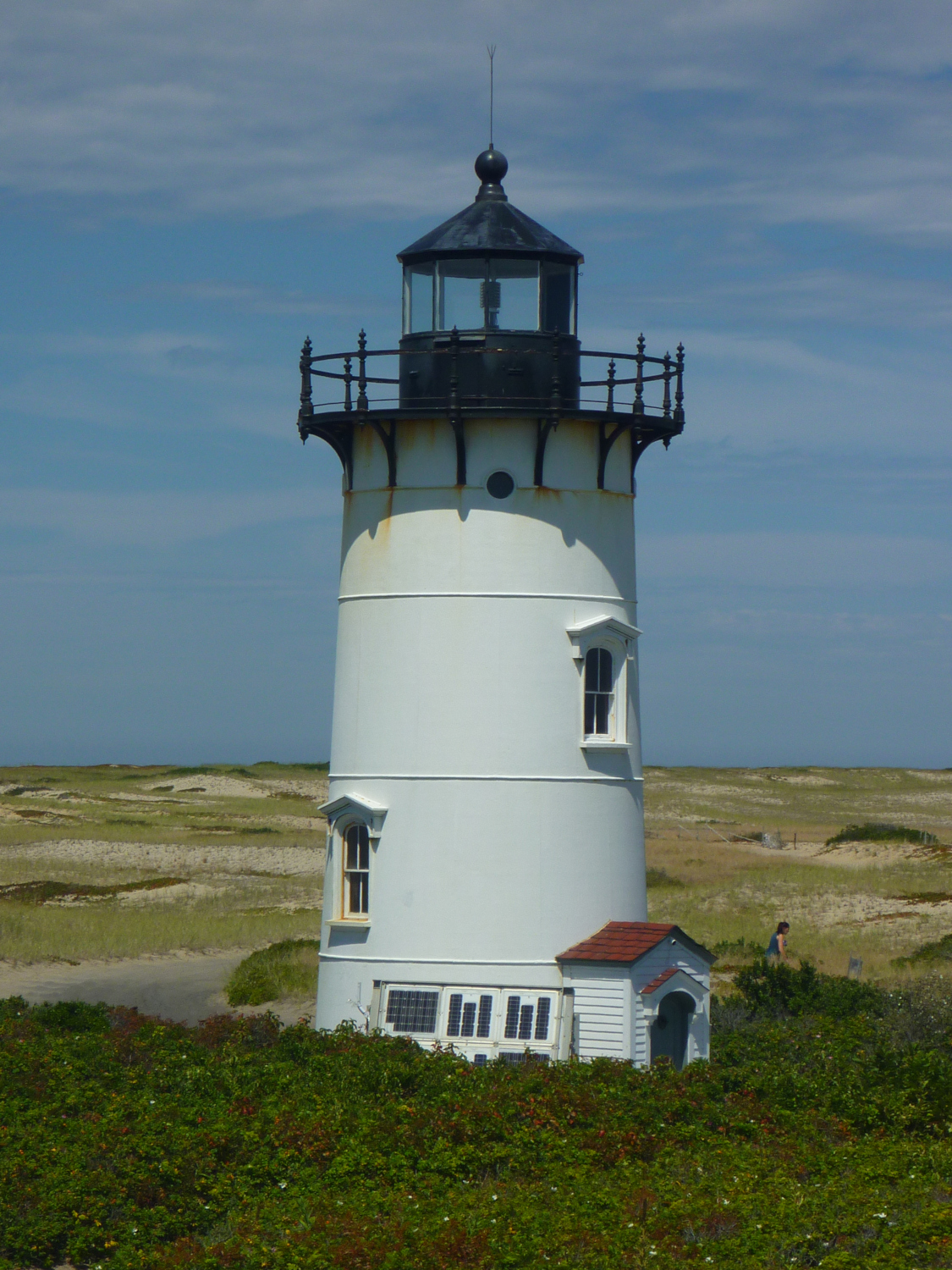 Trailing Ahead: 2020