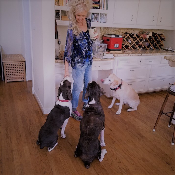 Karin Glannstam's Blog: A New You - The Story About Ditto, The Dog