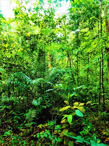 **~the misty mirror~**: Jin Hua Fish Soup @ Maxwell
