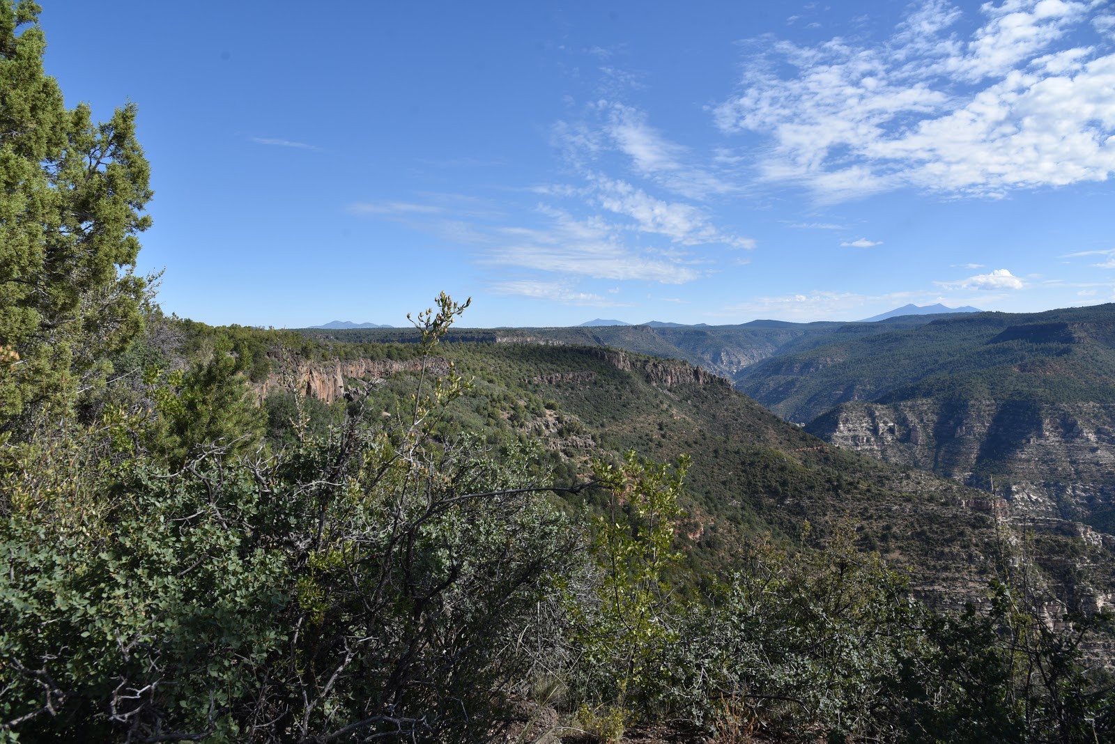 Arizona Hiking: SYCAMORE POINT TRAIL