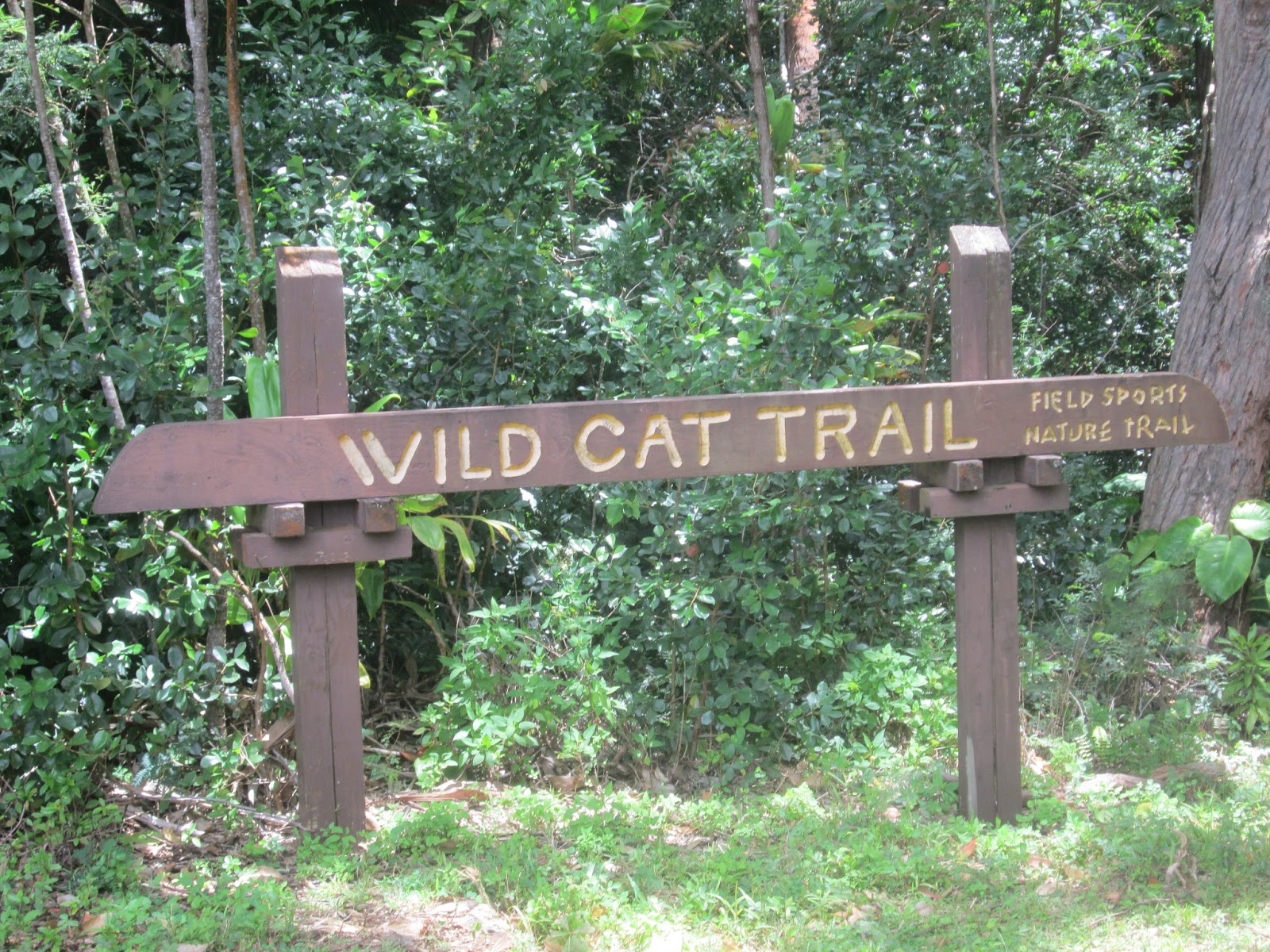 Aloha On My Mind: Aloha to Pupukea - Boy Scout Camp