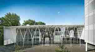 Tree Column Structural System: Biomimicry Application on Lightweight ...