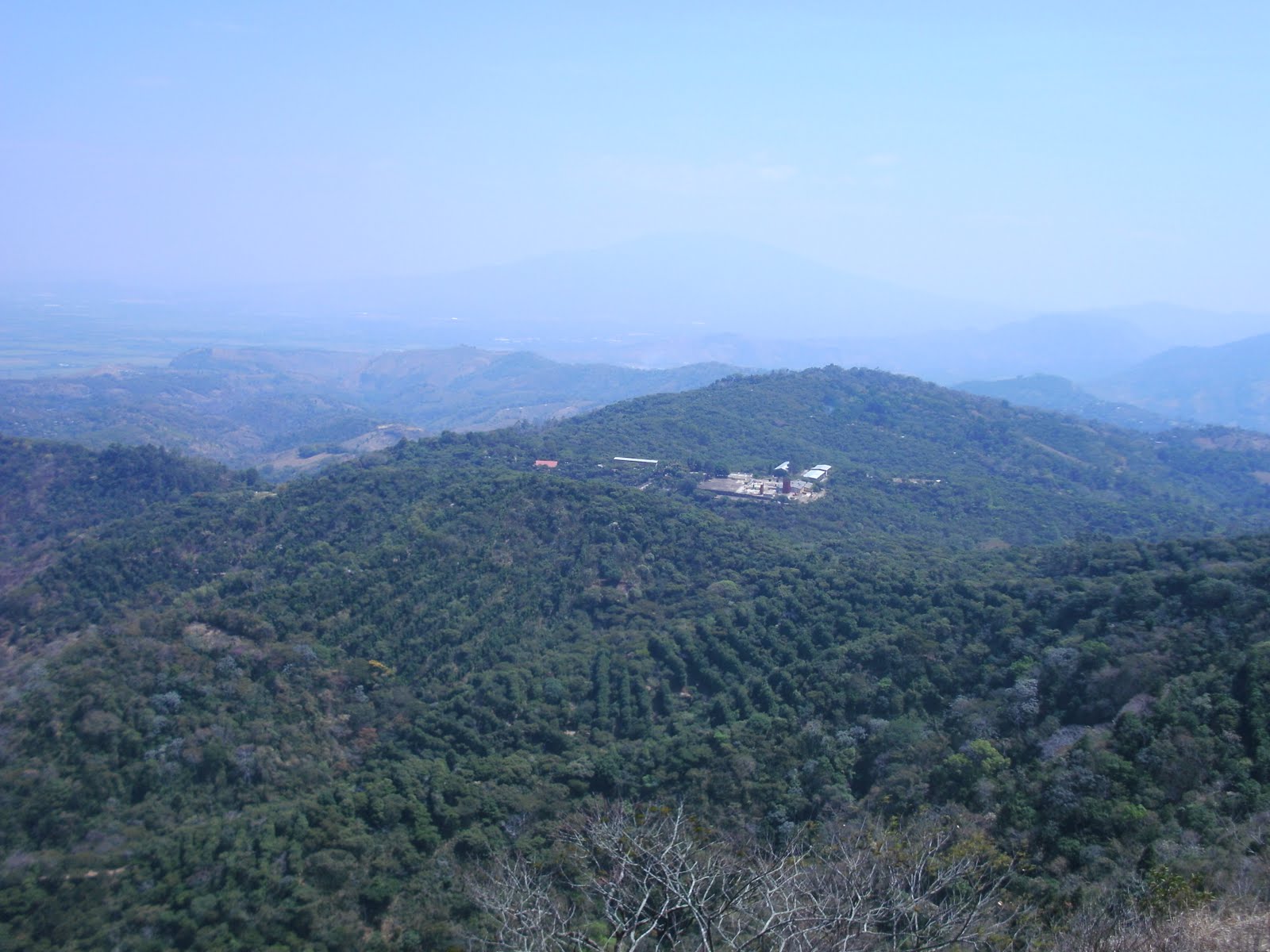 manuel herrera/tepecoyo