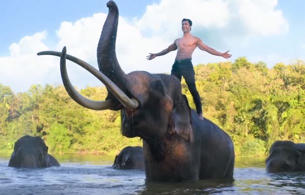 Junglee 2019 Movie Dialogues | Vidyut Jammwal Dialogues from Junglee