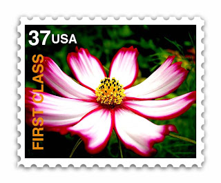 Abbey's Computer Graphic Projects: Flower Stamp