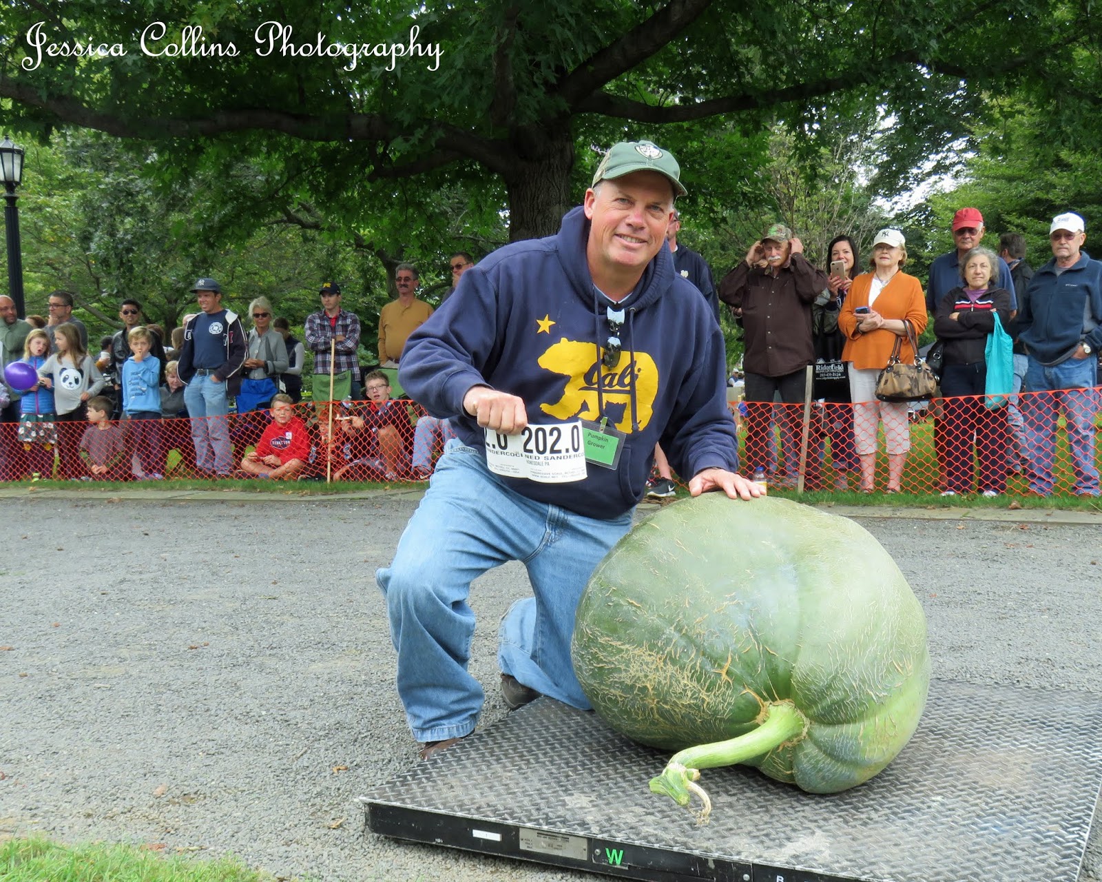 Jessica Collins Photography