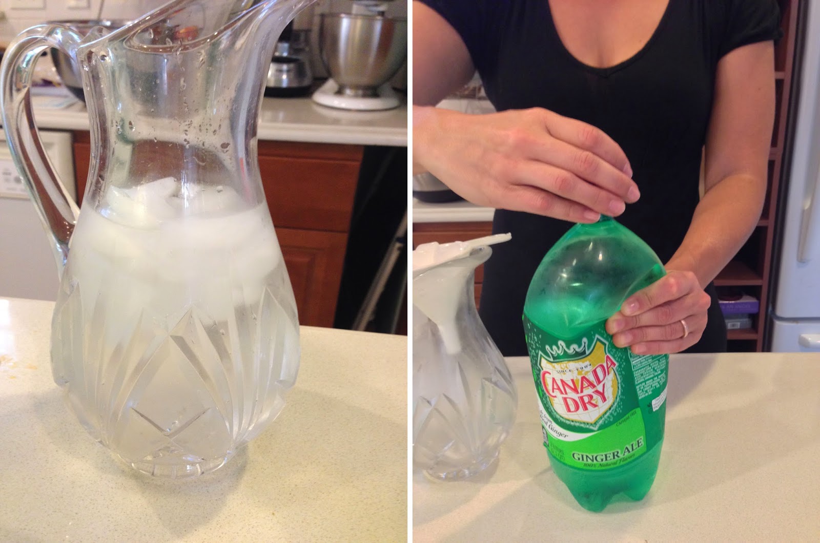 Grosgrain: DIY Carbonator!!