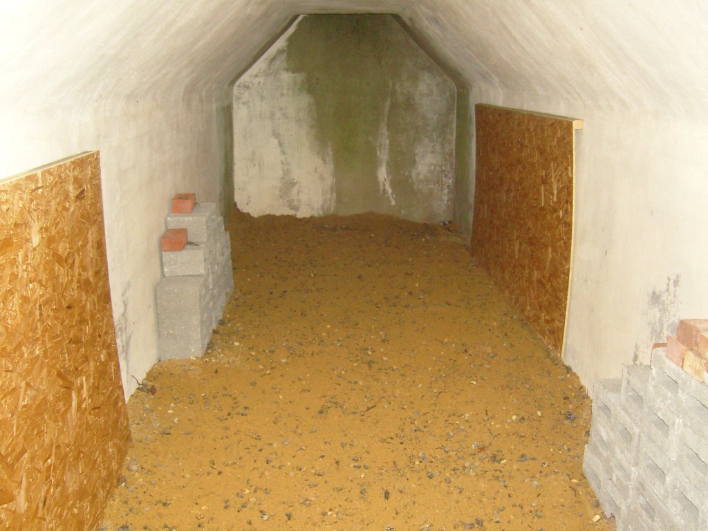 Norfolk Wildlife Trust: Bat Bunker