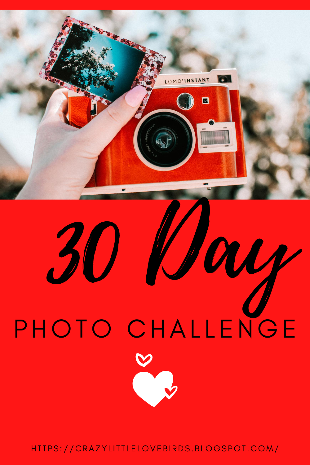 30 Day Photo Challenge.- Capturing moments