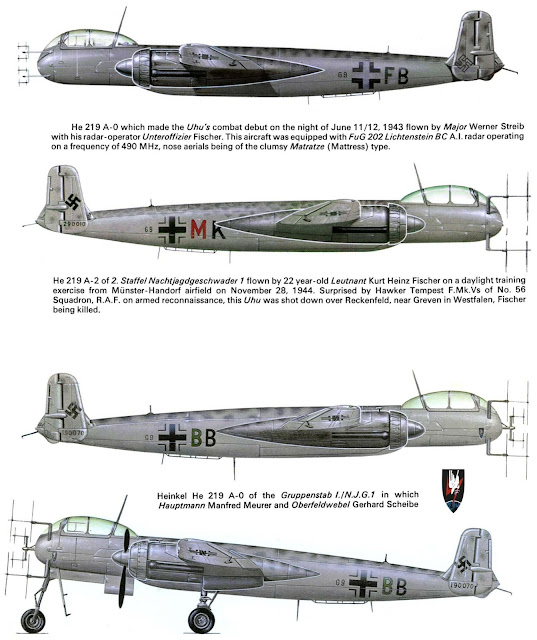 SI VIS PACEM, PARA BELLUM: L'Heinkel He 219 "Uhu" ("Eagle-Owl")